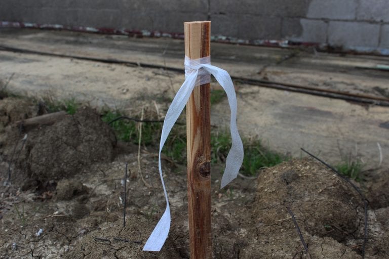 Biodegradable Roll Flagging