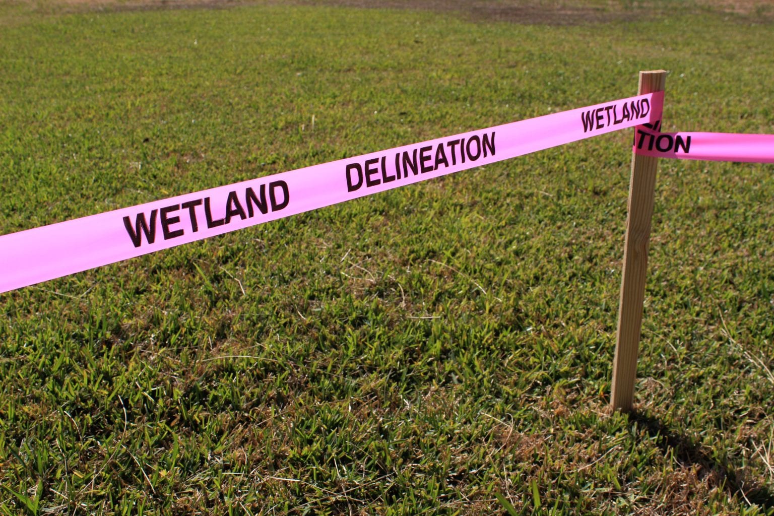 Printed Roll Flagging