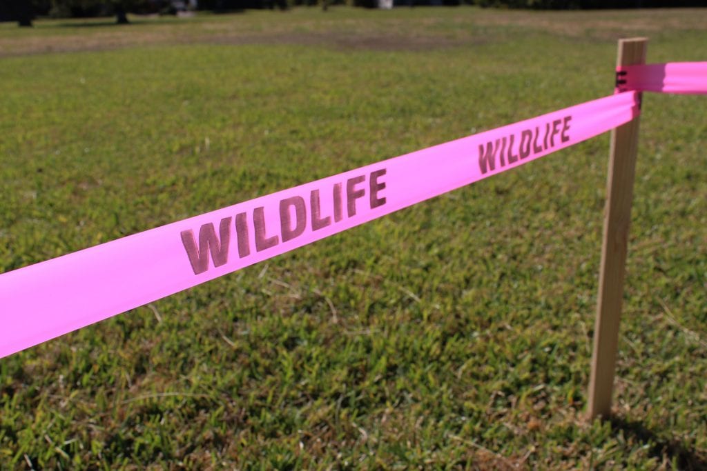 Printed Roll Flagging