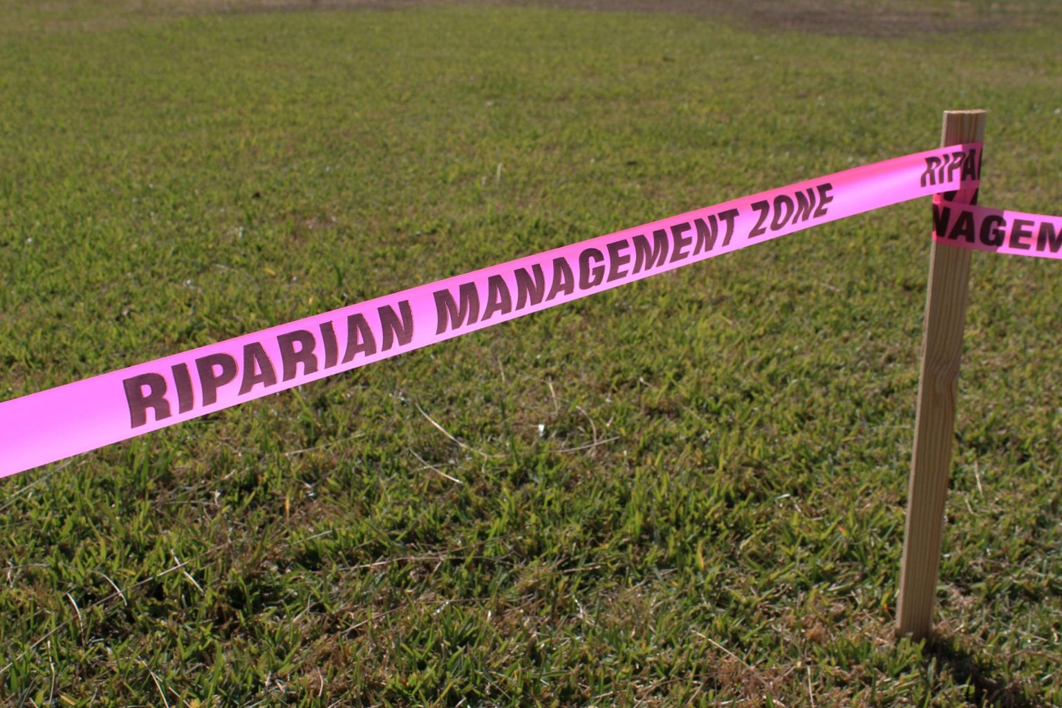 Printed Roll Flagging