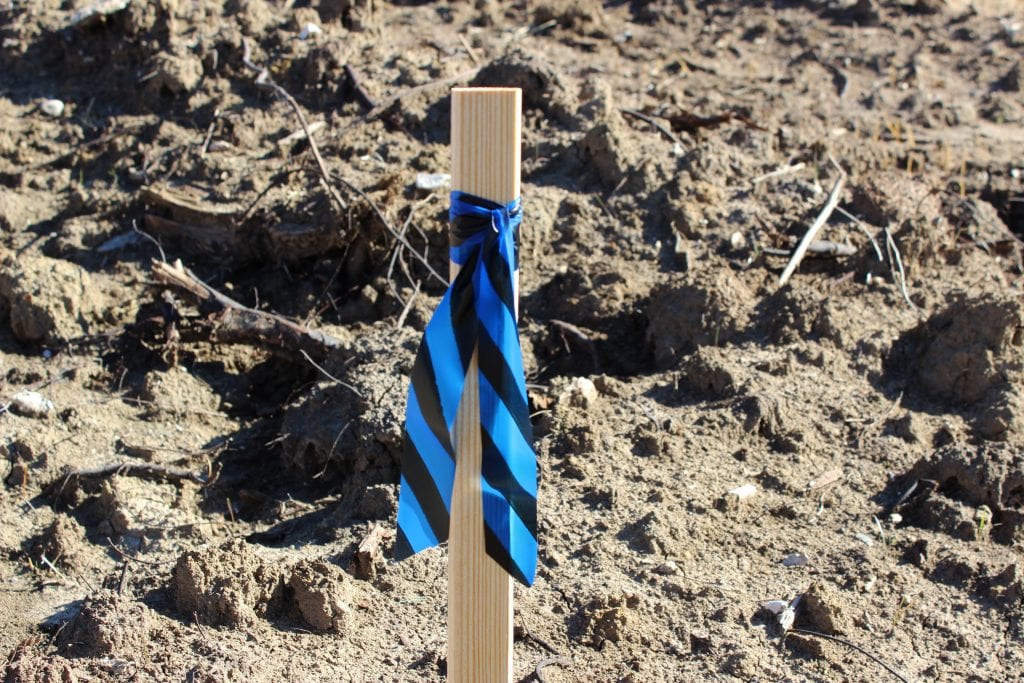 Patterned Roll Flagging