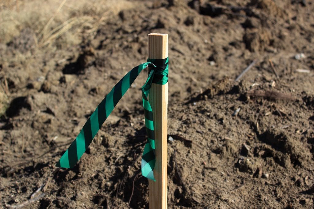 Patterned Roll Flagging