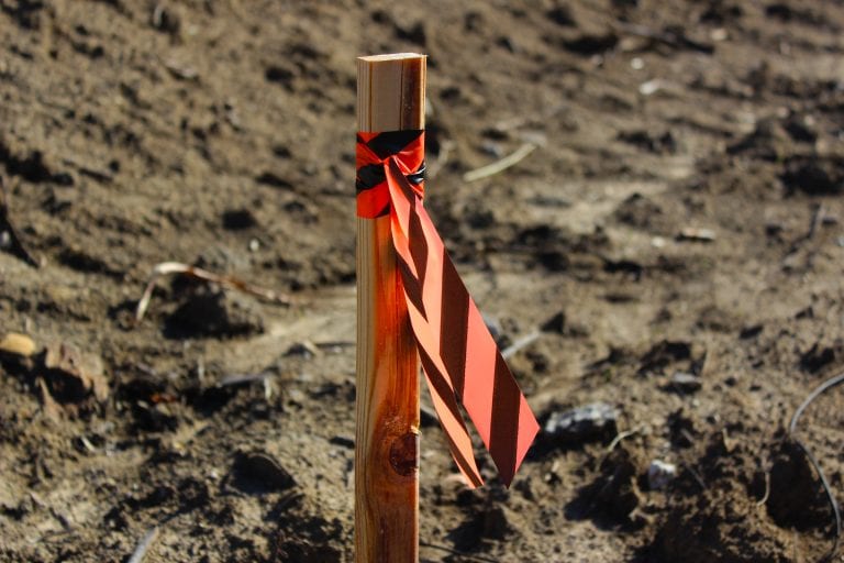 Patterned Roll Flagging