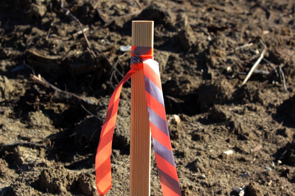 Patterned Roll Flagging