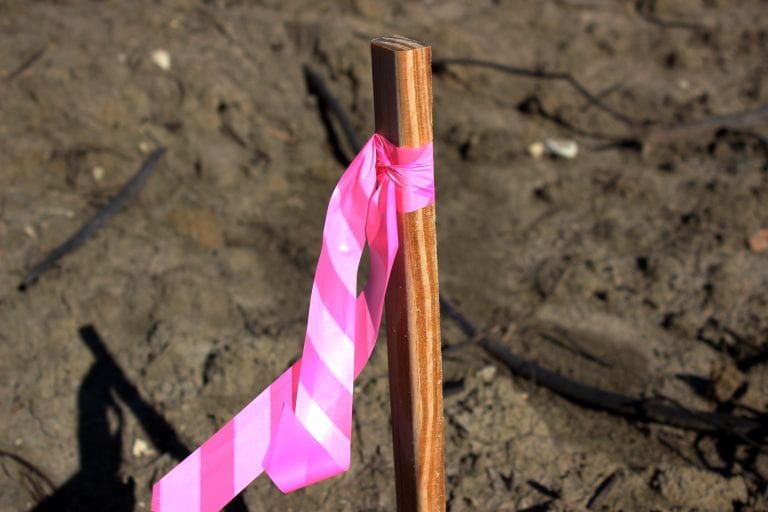 Patterned Roll Flagging