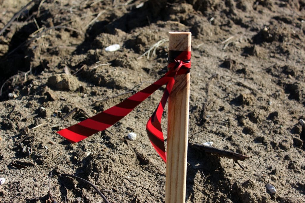 Patterned Roll Flagging