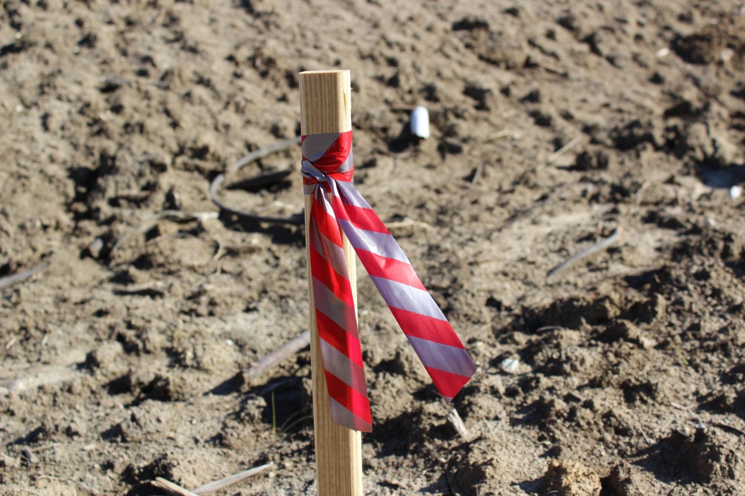 Patterned Roll Flagging